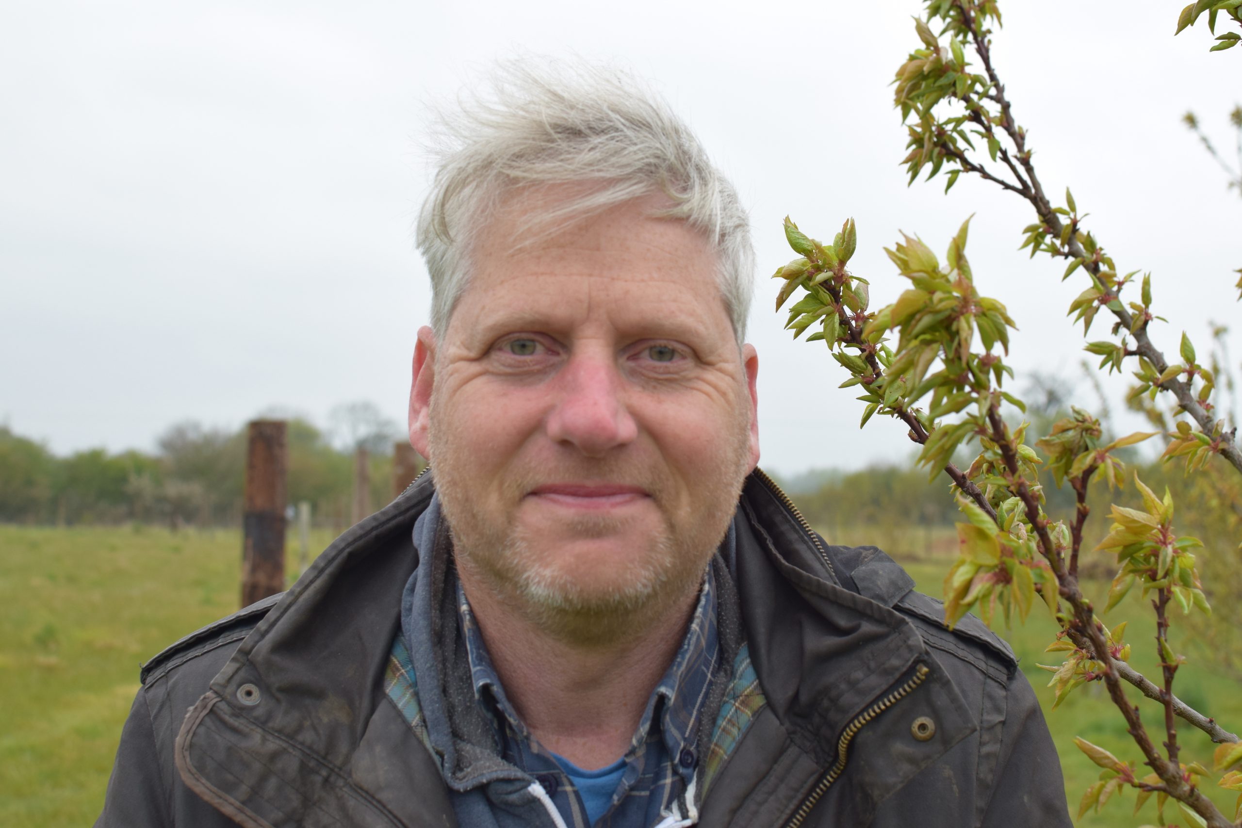 Ben Raskin shares the wonders of woodchip for gardeners and growers ...